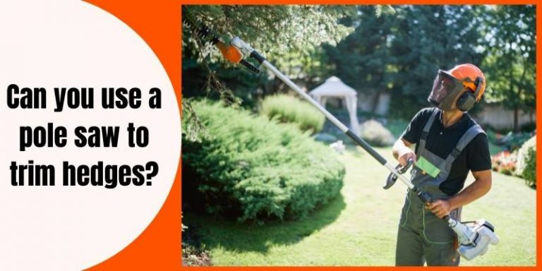 Can You Use a Pole Saw To Trim Hedges? [Or Not]