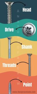10 Types of Screws and Their Uses on Different Surfaces