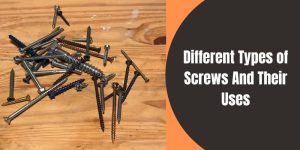 10 Types of Screws and Their Uses on Different Surfaces