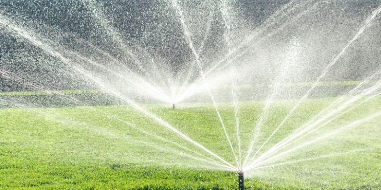 How Many Sprinkler Heads Per Zone? Free Calculator & Guide