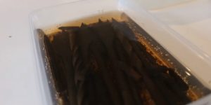 How to Remove Rust from Drill Bits, Nuts and Bolts